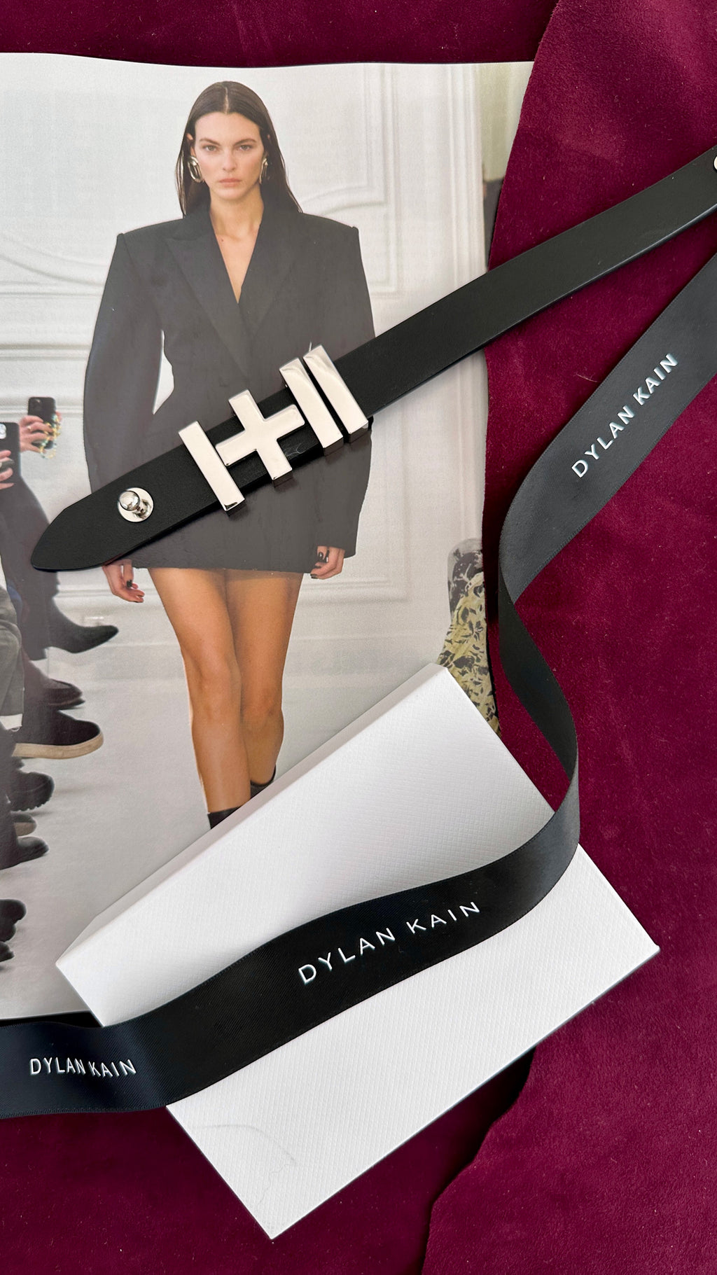 The Birkin Black Leather Belt in Silver – Dylan Kain