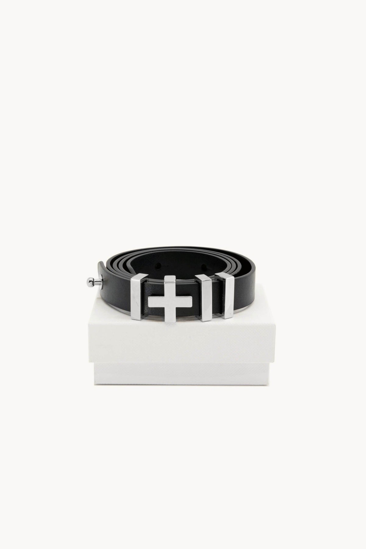 The Birkin Belt Silver – Dylan Kain
